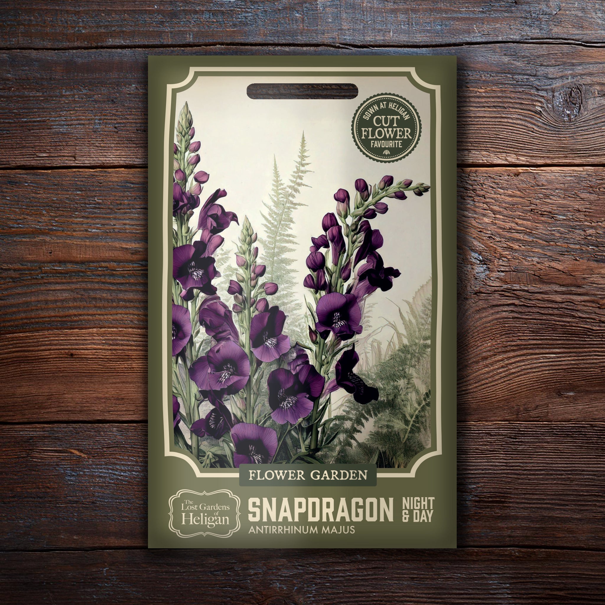 Growing and Caring for Snapdragon (Antirrhinum majus) from Seed ...