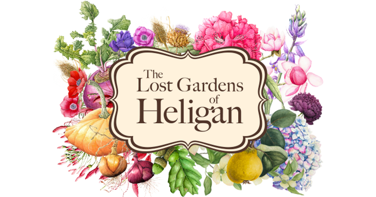 Seed Journey Latest Updates – Heligan Shop